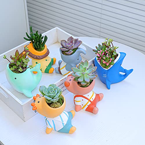 Succulent Pots - Small Succulent Planters Pots with Drainage Set of 6, Cute Cartoon Animal Planter Pots Ceramic Pots for Indoor Cactus Plants Tiny Flower Bonsai Planter Container for Home Garden