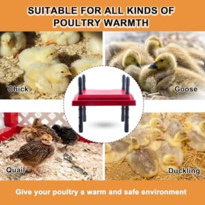 ZenxyHoC Chick Heater Brooder Plate, 10" x 10" Chick Brooder Heating Plate with Adjustable Heights 9.8 FT Power Cord for Baby Chicken Supplies