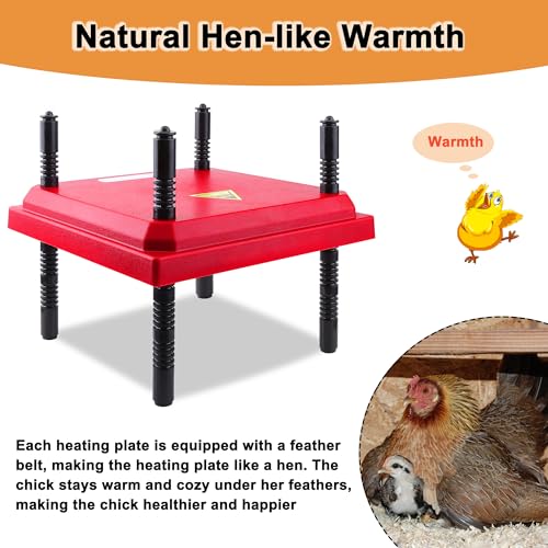 ZenxyHoC Chick Heater Brooder Plate, 10" x 10" Chick Brooder Heating Plate with Adjustable Heights 9.8 FT Power Cord for Baby Chicken Supplies