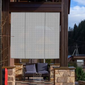 ECOOPTS Outdoor Roller Shade, Roll Up Shade Blind Sun Shade for Patio Porch Back Yard Gazebo Deck Balcony (4'W x 6'L, Light Grey)