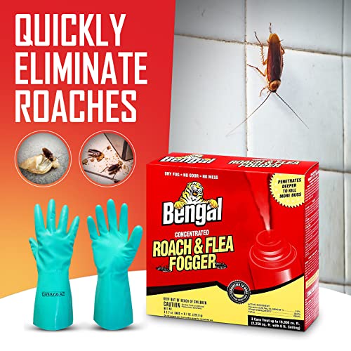 Bengal Concentrated Roach &Flea Fogger - Roach Killer Indoor Infestation Spray - Flea Foggers for Home Indoor - Bug Spray - Pest Control -Available with Premium Quality Centaurus AZ Gloves- 3-2.7oz