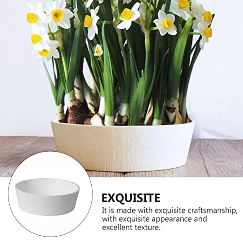 1pc with Pot White All Containers Container Nursery Flowers Garden Lily Gardening Planter for Water House Fresh Plants Indoor Pots Flower Round or Bowl Drainage