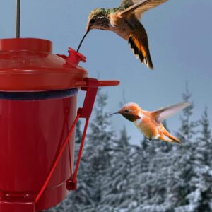 Hummingbird Feeder Heater in Freezing Outdoors Bird Feeder Heater Attaches to Feeder Bottom Backyard Bird Feeder Heater Hearth for Garden Patio Yard Hummingbird Feeder Heater (Red Heater -No Feeder)