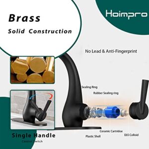 Hoimpro Modern Single Handle Black Bathroom Faucet Bar Sink Fauet Bathroom Sink Faucet Single Hole or Single Handle Gooseneck Kitchen Faucet with cUPC Water Lines, Matte Black/Brass