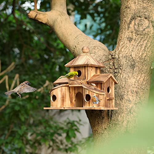 2in1 Bird House&Bird Feeder.Bird House for Outside,Hummingbird House with 6 Hole,Bluebird Finch Cardinals Hanging Big Birdhouse,Nesting Box Birdhouse for Backyard/Patio Decor.