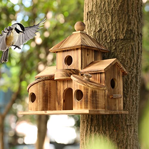 2in1 Bird House&Bird Feeder.Bird House for Outside,Hummingbird House with 6 Hole,Bluebird Finch Cardinals Hanging Big Birdhouse,Nesting Box Birdhouse for Backyard/Patio Decor.