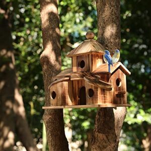 2in1 Bird House&Bird Feeder.Bird House for Outside,Hummingbird House with 6 Hole,Bluebird Finch Cardinals Hanging Big Birdhouse,Nesting Box Birdhouse for Backyard/Patio Decor.