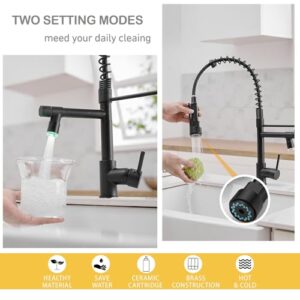 BESy 20 Inch Black Kitchen Faucet with Pull Down Sprayer, Dual Morden Commercial Rv Single Handle Single Hole Double Spout LED Spring Kitchen Sink Faucet with Pot Filler, Matte Black, Brass