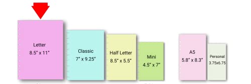 11-Disc Dashboard Semi-Transparent Blank Top Index Dividers, Fits 11-disc Discbound Planners (8.5x11 inches), such as Circa Letter, Arc by Staples, TUL Letter