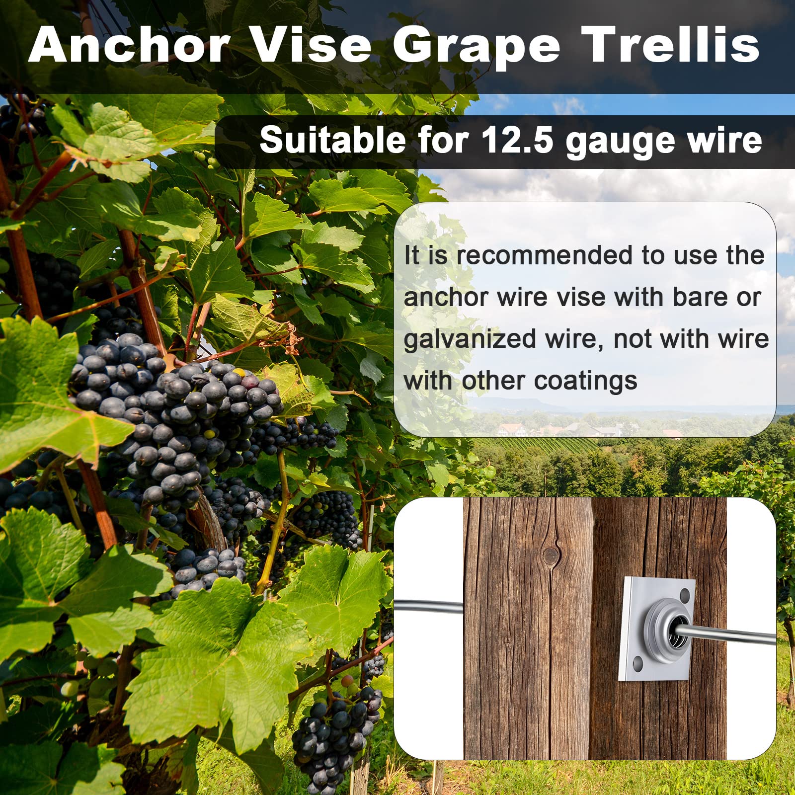 8 Pcs Anchor Wire Vise Anchor Vise Grape Trellis 2 Rolls Galvanized Wire Stainless Steel Wire Braces Wire for Tightening 12.5 Gauge Wire to Build Trellises, Vineyards, Fences and Arbors