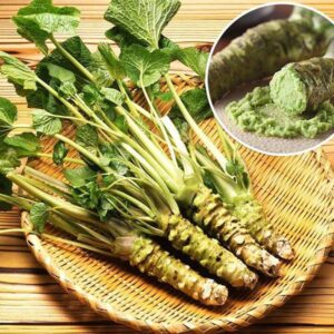 10gram(800pcs) seeds japanese horseradish wasabi seeds ワサビ, わさび, or 山葵 vegetable seeds bonsai plant diy home garden and yards plants high germination