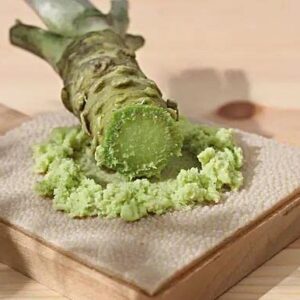 10Gram(800pcs) Seeds Japanese Horseradish Wasabi Seeds ワサビ, わさび, or 山葵 Vegetable Seeds Bonsai Plant DIY Home Garden and Yards Plants High Germination