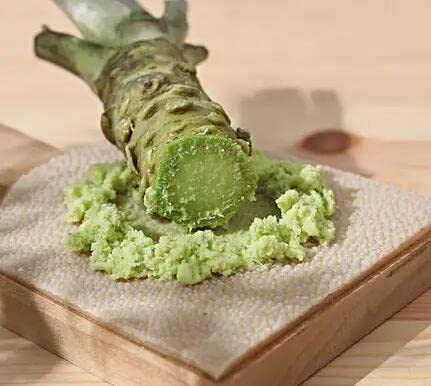 10Gram(800pcs) Seeds Japanese Horseradish Wasabi Seeds ワサビ, わさび, or 山葵 Vegetable Seeds Bonsai Plant DIY Home Garden and Yards Plants High Germination