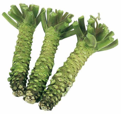 10Gram(800pcs) Seeds Japanese Horseradish Wasabi Seeds ワサビ, わさび, or 山葵 Vegetable Seeds Bonsai Plant DIY Home Garden and Yards Plants High Germination