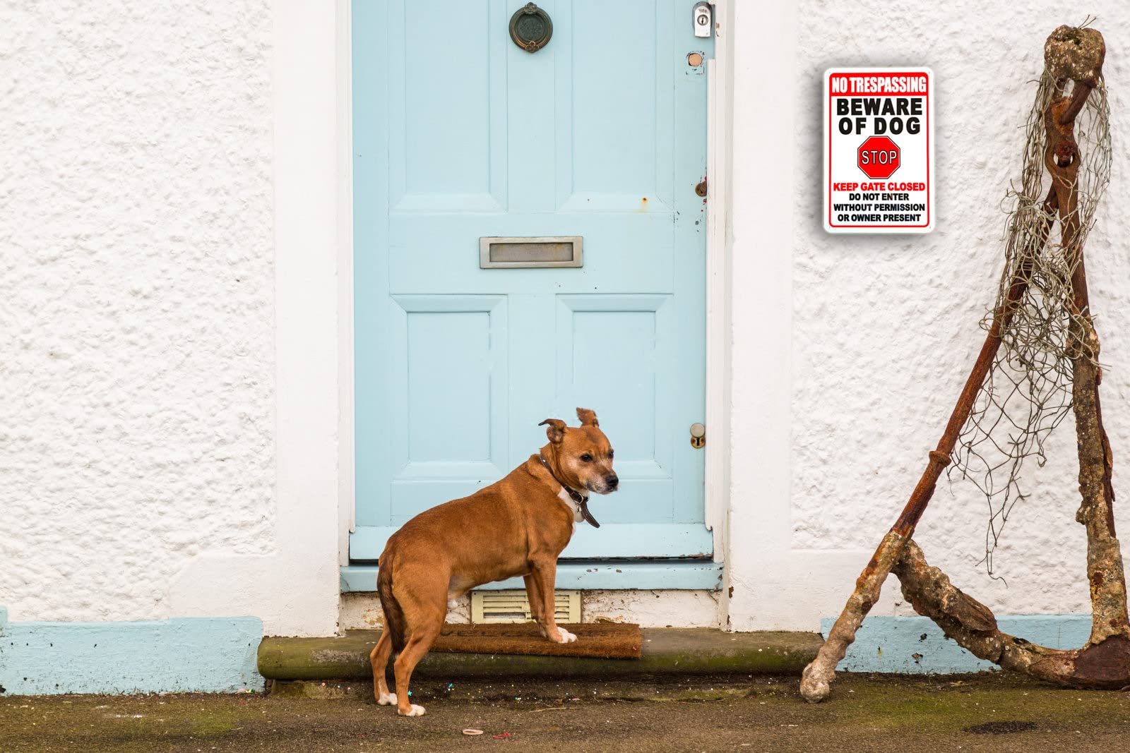 No Trespassing Beware of Dogs Stop Keep Gate Closed Do Not Enter Without Permission or Owner Present Sign for Room Wall Bathroom Decoration 12 x 8 Inch (2 Pack)