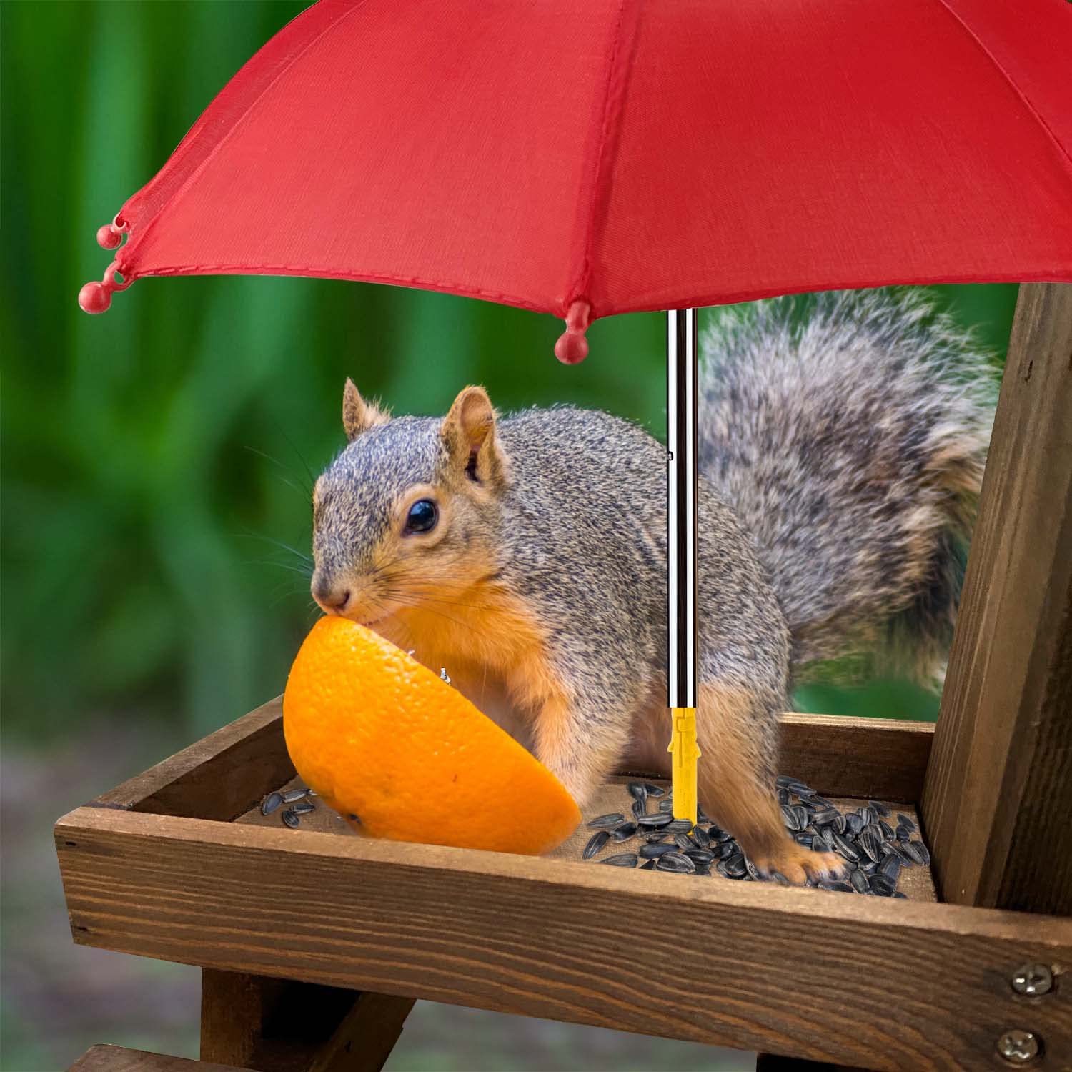 MIXXIDEA Wooden Squirrel Picnic Table Feeder, Durable Squirrel Feeders for Outside with Solid Structure Chipmunk Feeder with Corn Cob Holder and 2 X Thick Benches - Brown