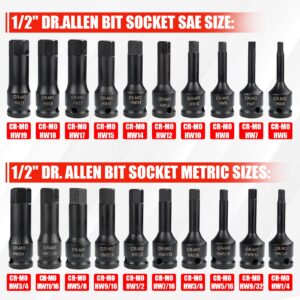 C&T 20 Piece 1/2" Drive Master Impact Hex Driver Set, SAE Metric Hex Head Impact Driver Bit Set 1/4" - 3/4", 6mm - 19mm, Cr-Mo Steel Drive Allen Bit Socket Set with Dual Size Markings and Storage Case