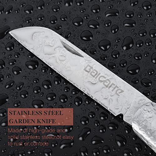 BaiCarre Pruning Knife,Grafting Knife, Stainless Steel Folding Garden Budding Knife, Pocket Knife for Grafting Multi Cutting Tool, Weed Bushes Branches Mushroom Weeding Knife