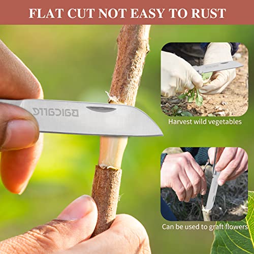 BaiCarre Pruning Knife,Grafting Knife, Stainless Steel Folding Garden Budding Knife, Pocket Knife for Grafting Multi Cutting Tool, Weed Bushes Branches Mushroom Weeding Knife