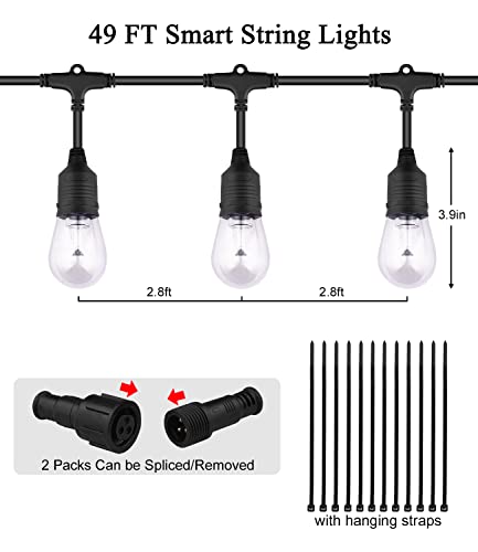 genlar Smart Christmas String Lights, APP Control Patio Lights LED RGBCW Color Changing Lights Dimmable Waterproof Shatterproof Commercial Hanging Lights for Outdoor Cafe Garden (48ft/15bulbs)