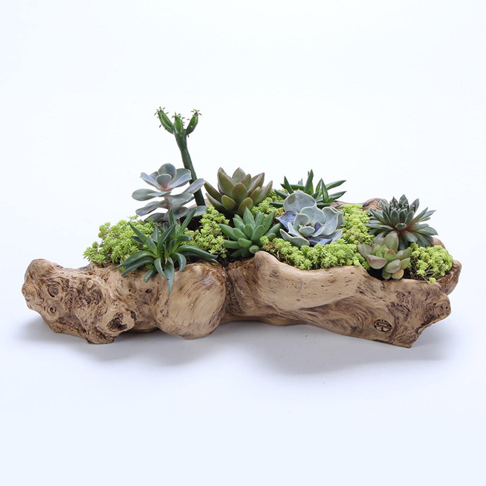 Gazechimp Driftwood Stump Log Resin Planter/Succulent Pot/Plant Pot, 14.2L x 4.7W