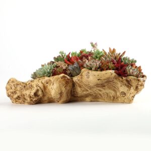 Gazechimp Driftwood Stump Log Resin Planter/Succulent Pot/Plant Pot, 14.2L x 4.7W