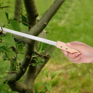 Bonsai Pruning Saw, Small Tooth Ergonomic Firm Professional Pruning Saw for Fruit Ranch for Men Women for Courtyard Garden