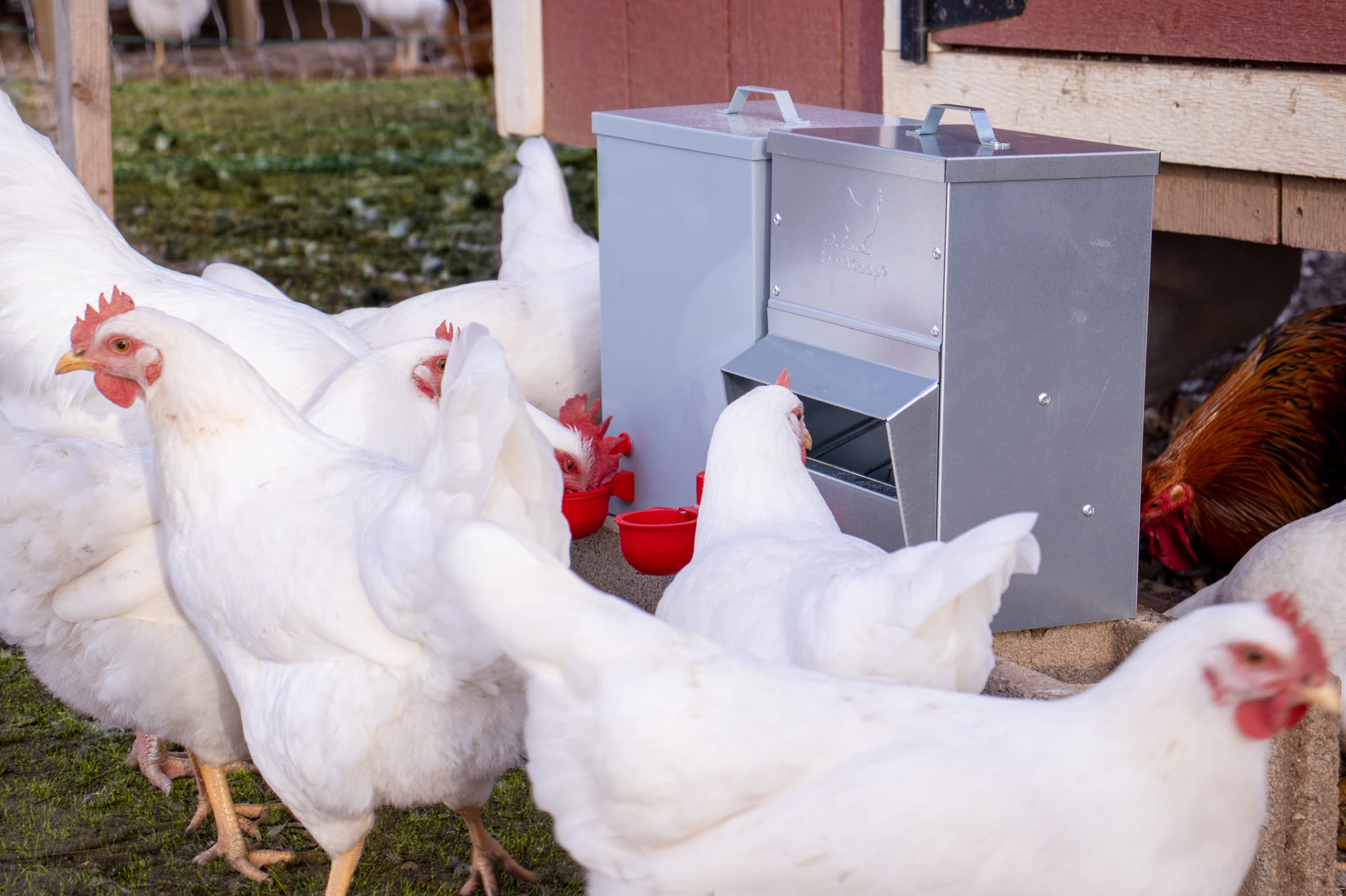 RENTACOOP Galvanized Chicken Trough Feeder, Weatherproof Poultry Food Dispenser with Lid,10LB Capacity