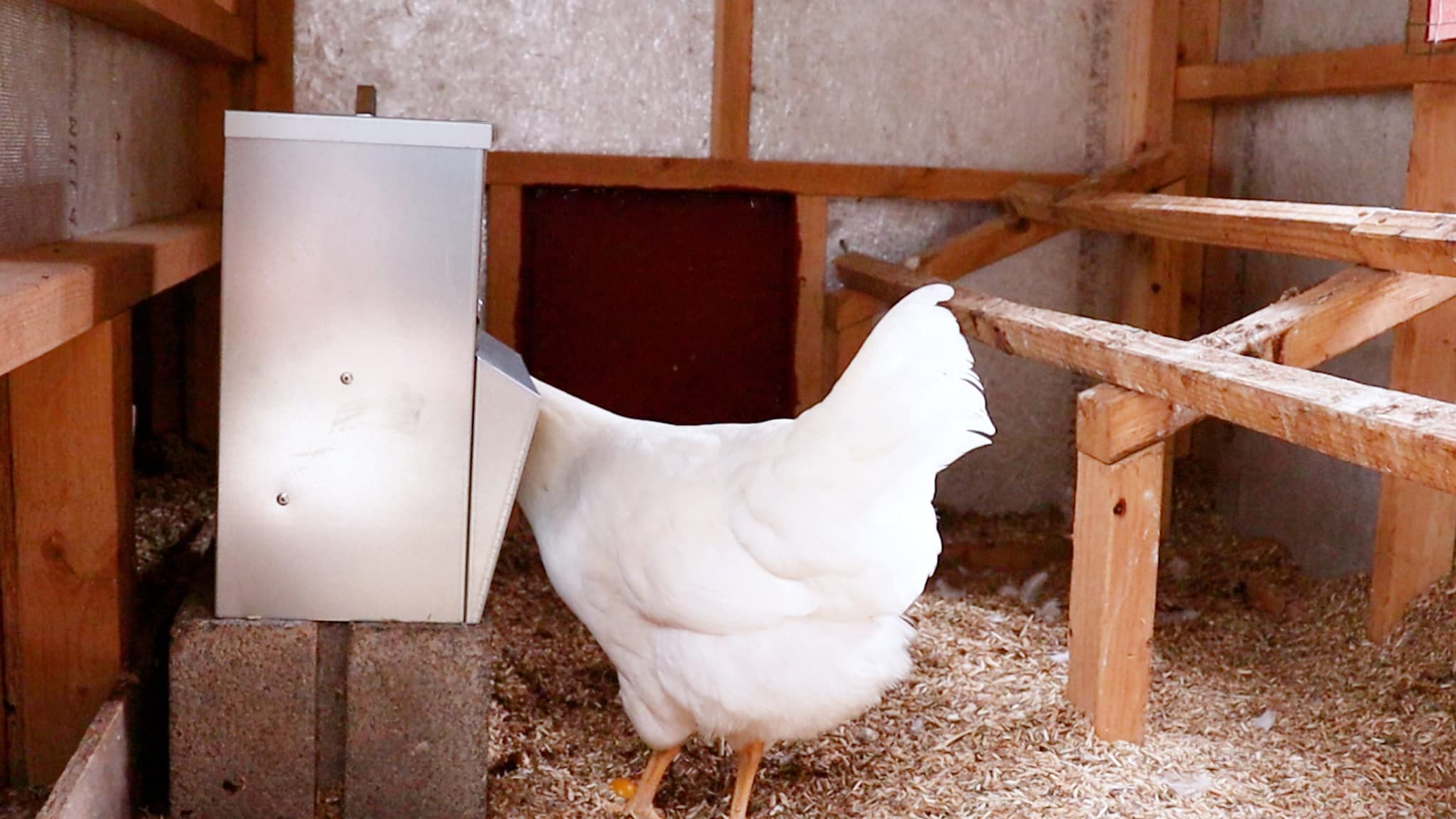 RENTACOOP Galvanized Chicken Trough Feeder, Weatherproof Poultry Food Dispenser with Lid,10LB Capacity