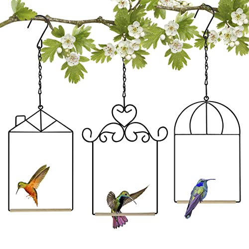 XYADX Metal Frame Hummingbird Swings and Perches with Wooden Dowel Black Bird Swing Outdoor Bird Perch Humming Bird Swing Pack of 3