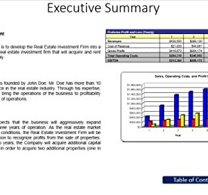 Real Estate Investment Business Plan