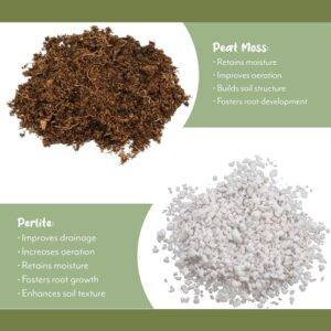 Air Cleaning Plant Potting Mix (8 Quarts), Soil Mix for Pothos, Parlor Palm, Peace Lily, Etc.