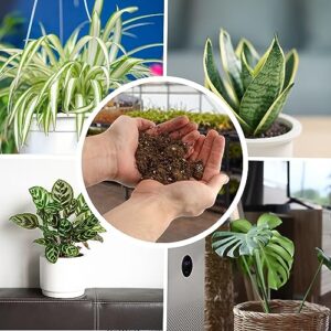 Air Cleaning Plant Potting Mix (8 Quarts), Soil Mix for Pothos, Parlor Palm, Peace Lily, Etc.