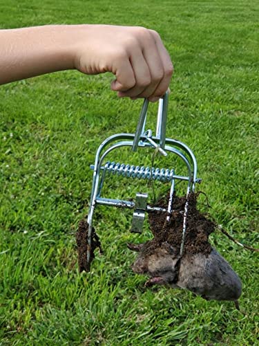 Mole Whacker Trap