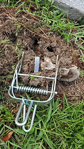 Mole Whacker Trap