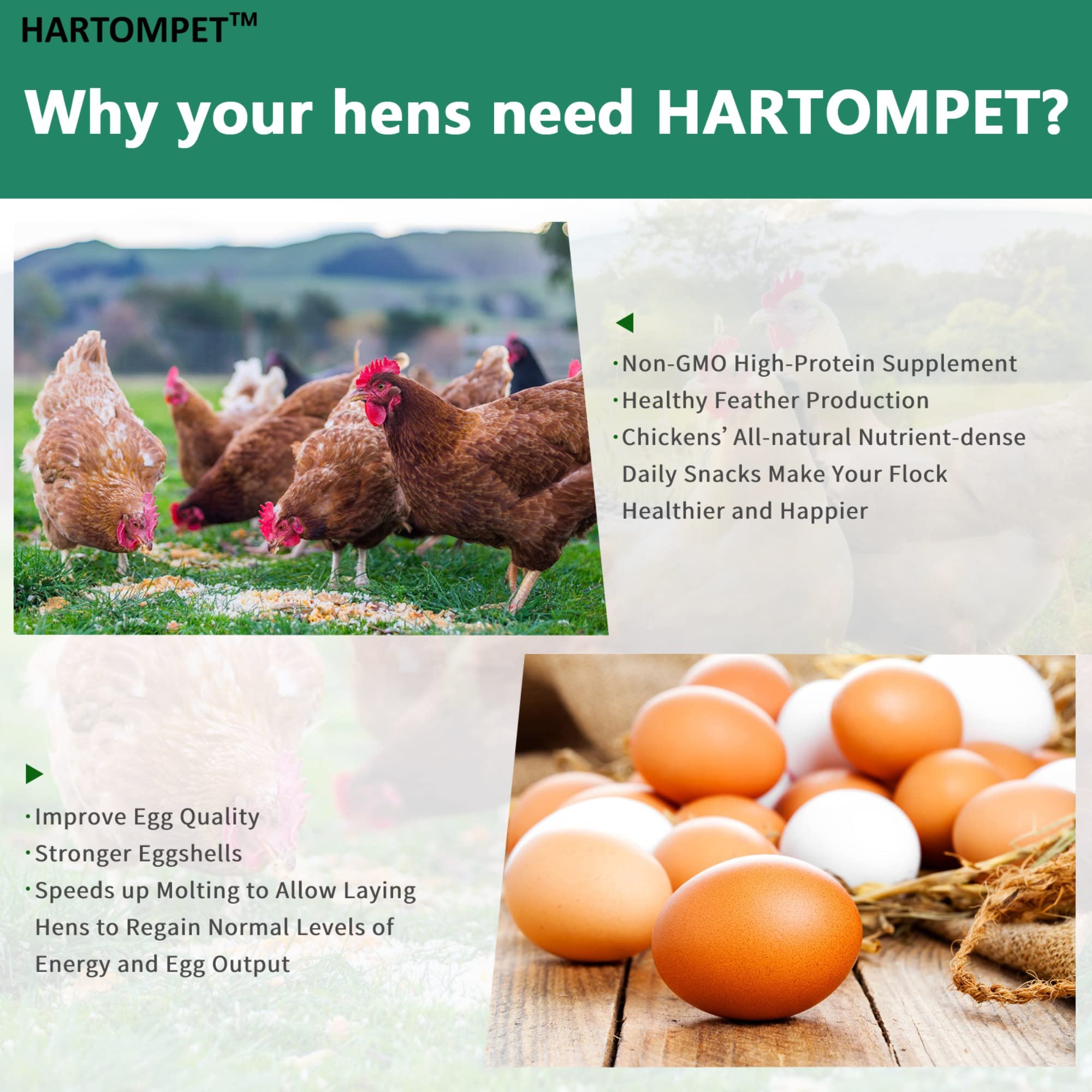 GRUBSFARM HARTOMPET Better Than Dried Mealworms for Chickens 5 lbs - 85X Calcium Than MealWorms - Non-GMO Chicken Feed Additive - Black Soldier Fly Larvae Treats for Hens, Ducks, Wild Birds