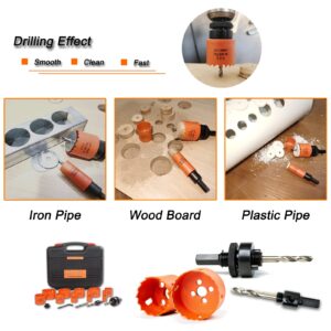 VIKITON Hole Saw Kit Bi Metal with Case, General Purpose Size from 3/4'' to 2-1/2'', Hole Saw Set for Metal, Wood and Plastic, with Clean and Smooth Cutting Edge, Fast Chip Removal.