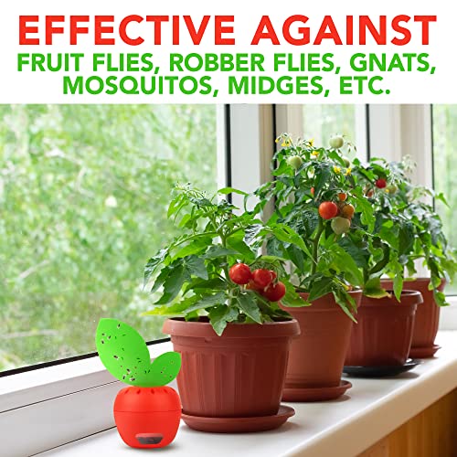 Fruit Fly Traps for Indoors, Gnat Traps for House Indoor, 2 Apple Pack. Fruit Fly Killer Trap. Kitchen and Indoor House Plants Fungus Gnat Traps with 10 Sticky Indoor Fly Traps and 1 Oz Liquid Bait.