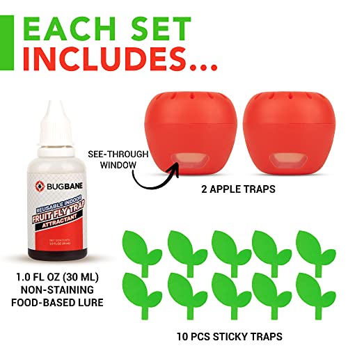 Fruit Fly Traps for Indoors, Gnat Traps for House Indoor, 2 Apple Pack. Fruit Fly Killer Trap. Kitchen and Indoor House Plants Fungus Gnat Traps with 10 Sticky Indoor Fly Traps and 1 Oz Liquid Bait.