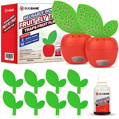 Fruit Fly Traps for Indoors, Gnat Traps for House Indoor, 2 Apple Pack. Fruit Fly Killer Trap. Kitchen and Indoor House Plants Fungus Gnat Traps with 10 Sticky Indoor Fly Traps and 1 Oz Liquid Bait.