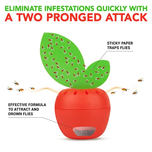 Fruit Fly Traps for Indoors, Gnat Traps for House Indoor, 2 Apple Pack. Fruit Fly Killer Trap. Kitchen and Indoor House Plants Fungus Gnat Traps with 10 Sticky Indoor Fly Traps and 1 Oz Liquid Bait.