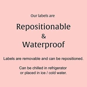 I can't drink this but you can ● SET of 5 ● GENDER NEUTRAL Pregnancy Announcement Wine Labels, Baby Announcement Wine Label, Pregnancy Reveal, Alternative to Card WATERPROOF A200-5IDT