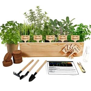 indoor herb grow kit, 5 herb garden starter kit with complete planting kit & wooden flower box for kitchen windowsill herb garden diy