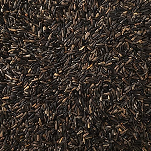 Happy Wings Nyjer/Thistle Seeds with Empty Sock for Wild Bird Food - 10 Pounds I No Grow Seed