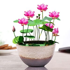 Mixed Bonsai Lotus Seeds Mixed Color Water Lily Flower Plant Fresh Garden Seeds,Finest Viable Aquatic Water Features Seeds (30 Pcs)