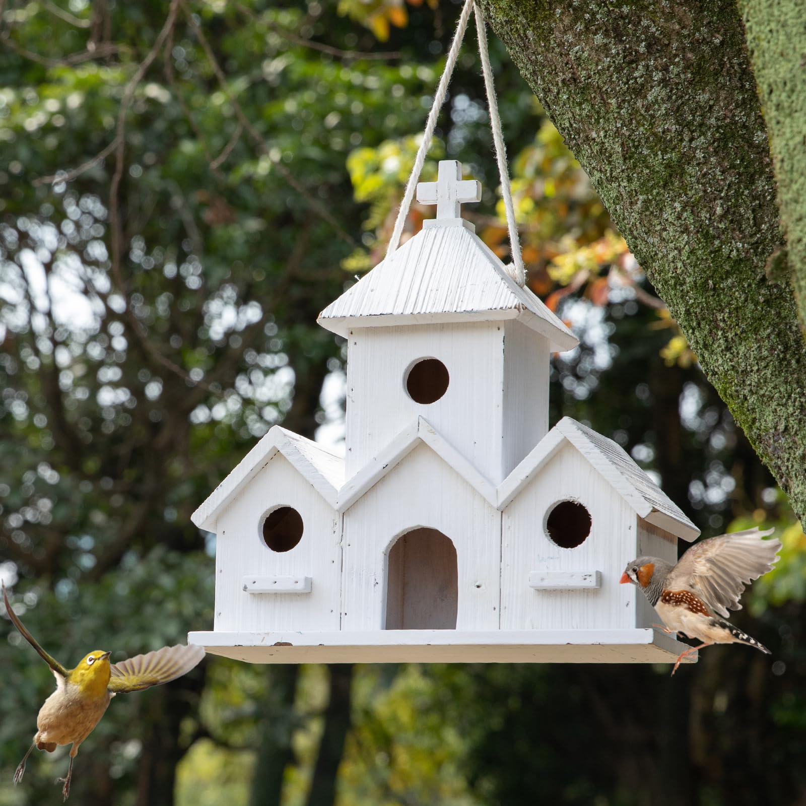 HHWODB Birdhouse Premium Bluebird Houses for Outside, Attract Beautiful Birds to Your Garden and Yard - Durable Outdoor Birdhouses 4 Hole Bird Houses for Outside Hanging