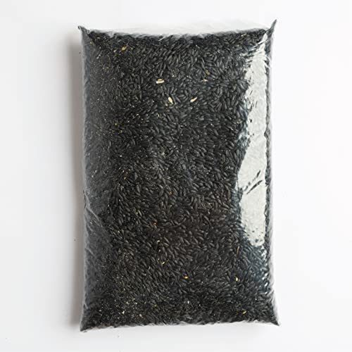 Schoen Farms Black Sunflower Seeds for Birds (10 LBS)