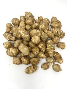 6 tuber jerusalem artichokes / sunchokes for eating or planting