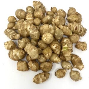 6 Tuber Jerusalem Artichokes / Sunchokes for Eating or Planting