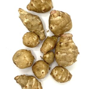 6 Tuber Jerusalem Artichokes / Sunchokes for Eating or Planting